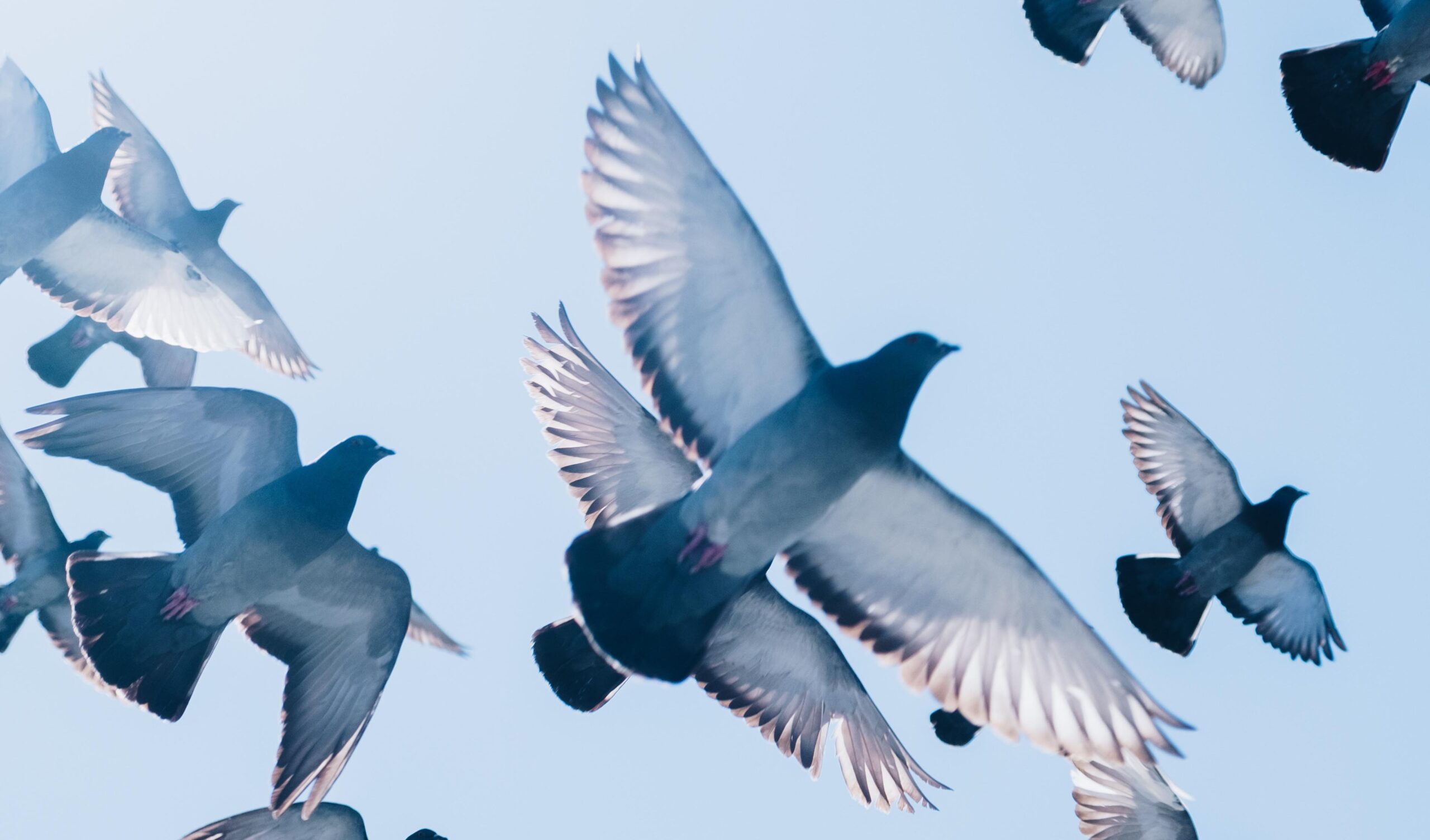 How to Discern the Leading of the Holy Spirit - Well Soul Life Blog